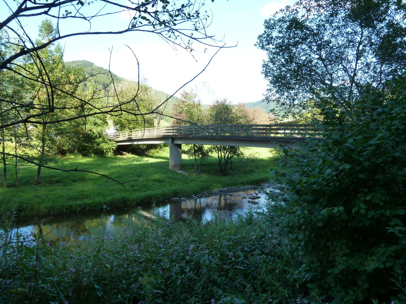 Brücken über die Kinzig